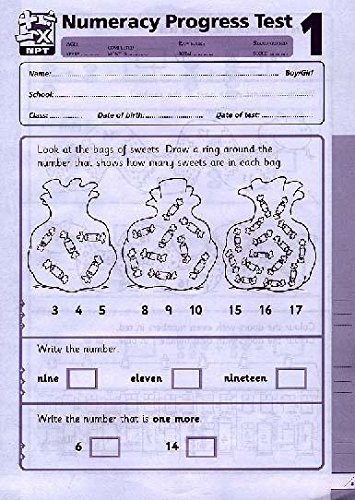 Numeracy Progress Test (Numeracy Progress Tests): Mary Crumpler, Denis ...