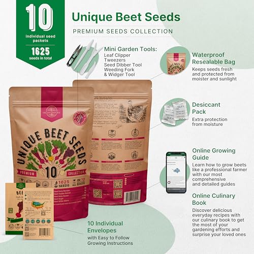 Organo Republic 10 Rare Beet Seeds Variety Pack for Planting Indoor ...