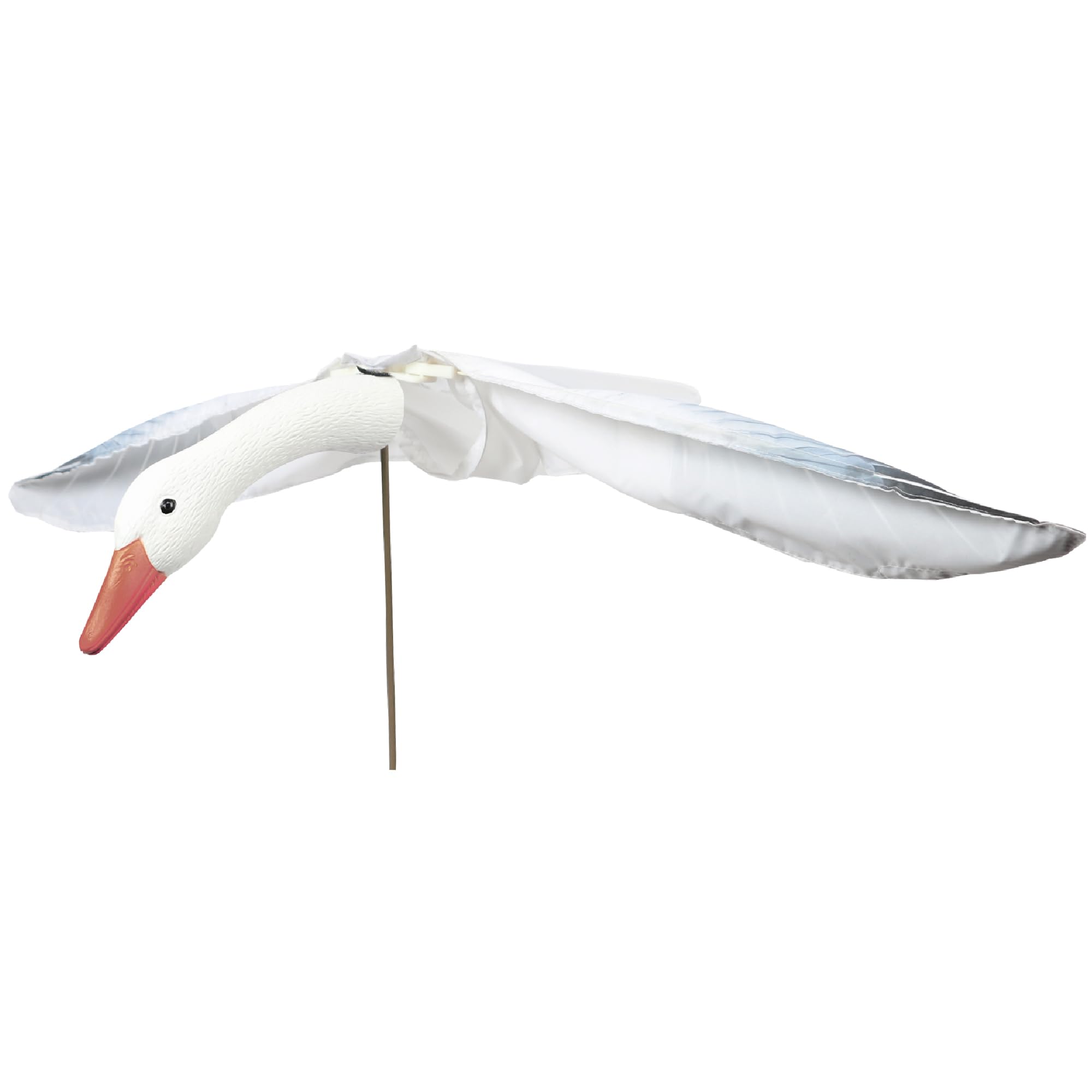 Snapklik.com : Lucky Flyer Snow Goose
