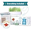Amazon.com: Back to the Roots Indoor Aquaponic Garden - 3 Gallon Self ...