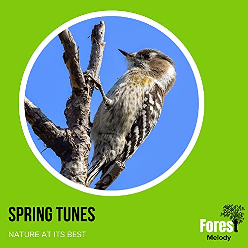 Play Spring Tunes - Nature at its Best by Various on Amazon Music