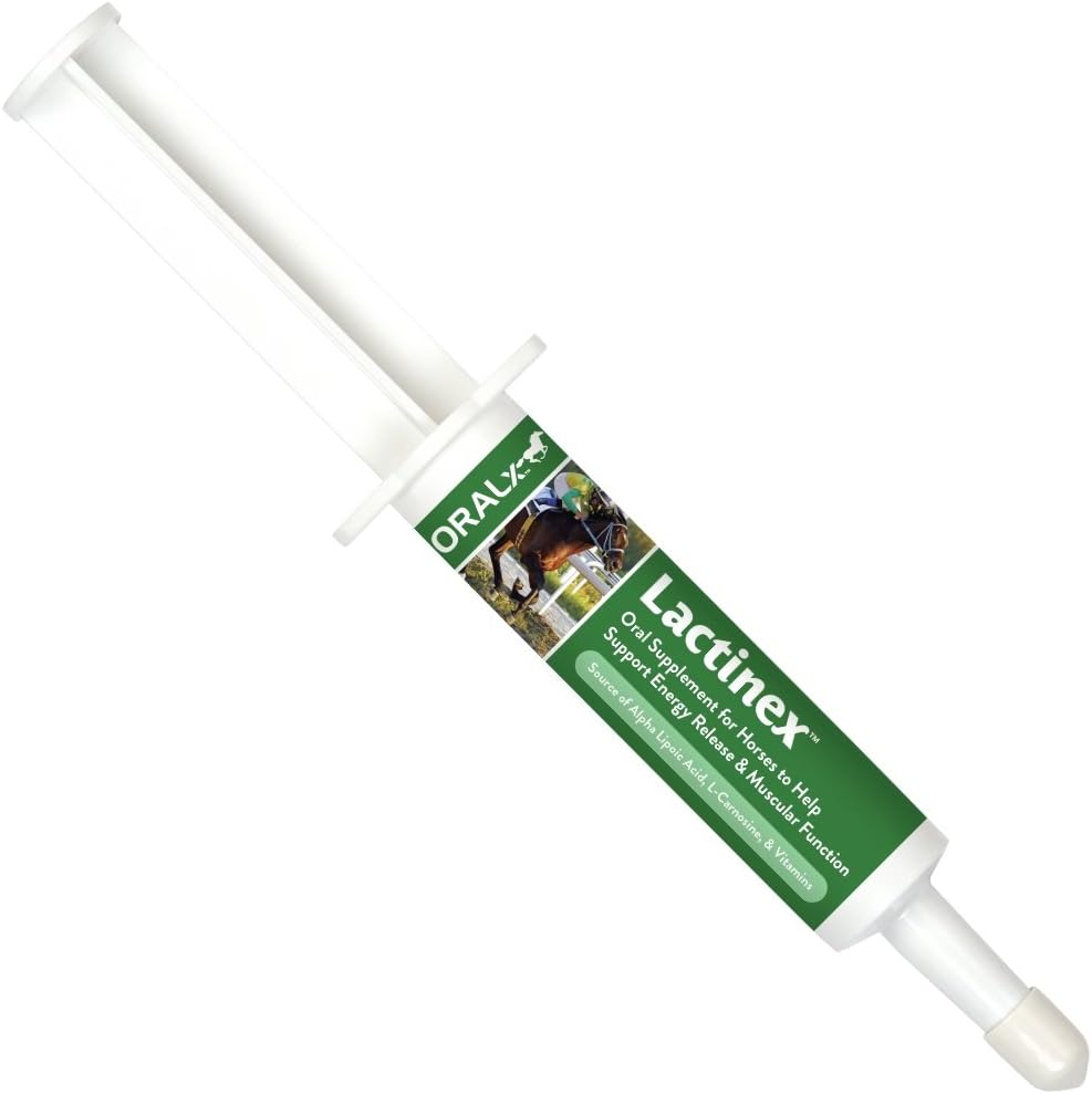 Amazon.com: Oralx Lactinex Oral Supplement for Horses in Training or ...