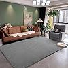 Amazon.com: DweIke Modern Area Rugs for Living Room Bedroom, 5x7 Grey ...