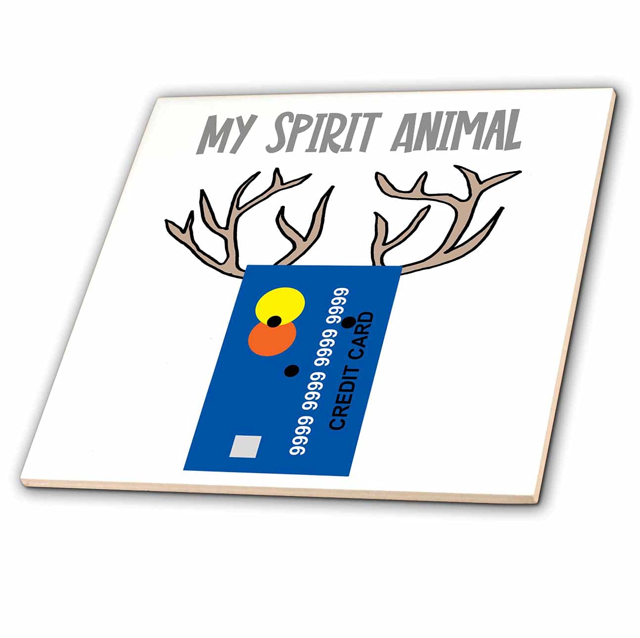 Funny Shopping Credit Card