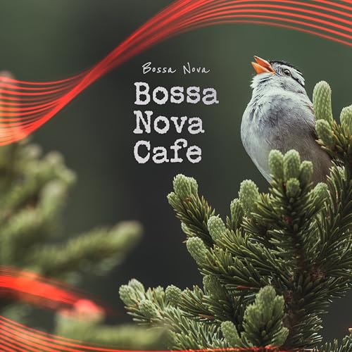 Play Bossa Nova Cafe by Bossa Nova on Amazon Music