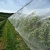 Amazon.com : Garden Netting, Plant Covers 10x33Ft Net Ultra Fine Mesh ...
