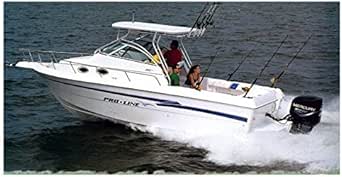 Amazon.com: 1999 Pro Line 251 Walkaround Power Boat Photo Poster ...