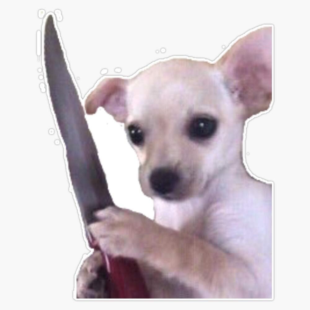 Amazon.com: Crunch Doge Sticker Vinyl Waterproof Sticker Decal Car ...