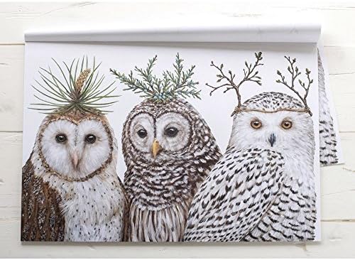 Amazon.com: Kitchen Papers Winter Owls Paper Placemat Set : Home & Kitchen