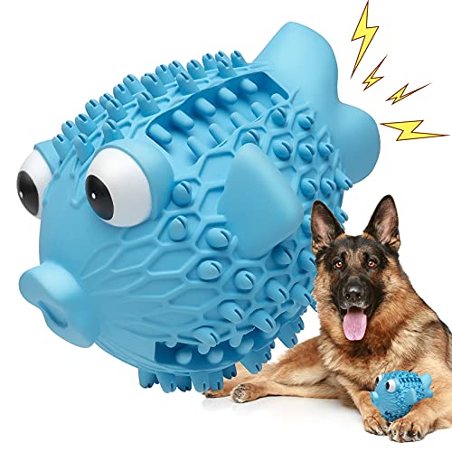10 Must-Have Products for Your Pet Puffer Fish - A Complete Buying ...