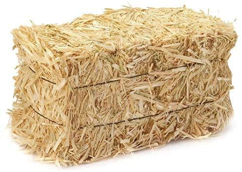 Amazon.com : Home and Country USA Real Full Size Straw Bale, 35" x 19 ...