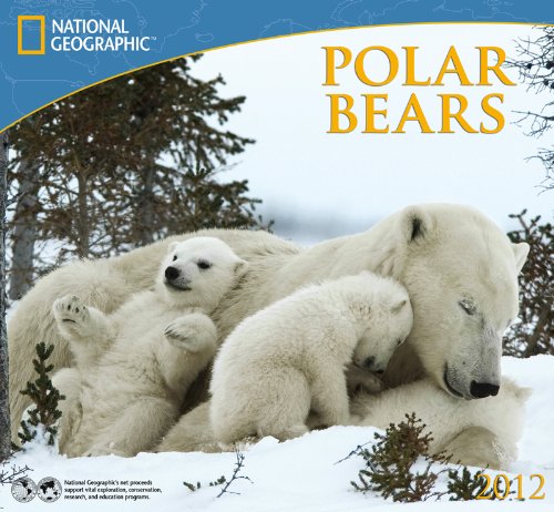 Amazon.com: 2012 Polar Bears - National Geographic Wall calendar ...