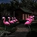 Amazon.com : Geelin 6 Packs Pink Flamingo Garden Solar Light Decoration ...