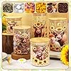 Amazon.com: JarThenaAMCS 5 Pack Highland Cow Sunflower Glass Storage ...