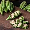 Amazon.com : Seeds4planting - Seeds Louisiana Green Okra (Bamia, Lady ...