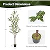 Amazon.com: Artificial Olive Tree 7FT : Home & Kitchen