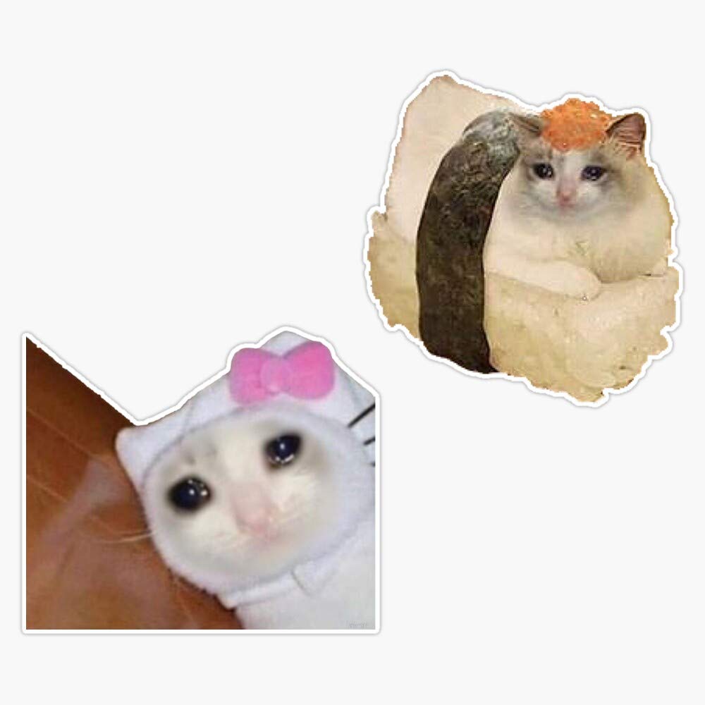 Amazon.com: Leyland Designs Crying Cat Sticker Pack - Cat Sushi and ...