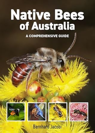 Native Bees of Australia: A comprehensive guide - Jacobi ...