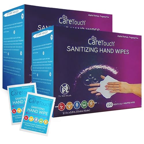 Care Touch Hand Sanitizer Wipes – 220 Individually Wrapped Packets ...