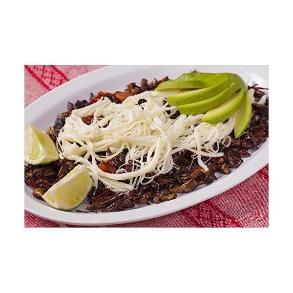 Chapulines - Grasshoppers Real de Oaxaca 2 oz - Insect Gourmet - Your ...
