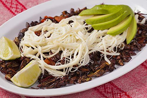 Chapulines - Grasshoppers Real de Oaxaca 2 oz - Insect Gourmet - Your ...