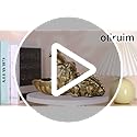 Amazon.com: oliruim Alligator Statue Key Bowl, Fun Animal Statue Candy ...
