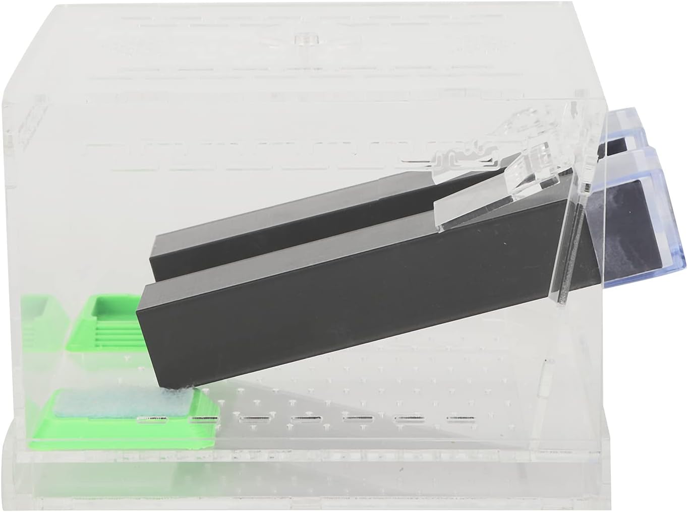 Amazon.com : 1 Pack Cricket Breeding Box Insect Keeper Reptile Feeding ...