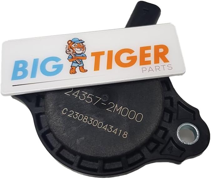 Amazon.com: Genuine OEM 24357-2M000 Solenoid - CVVT, EX / 243572M000 ...