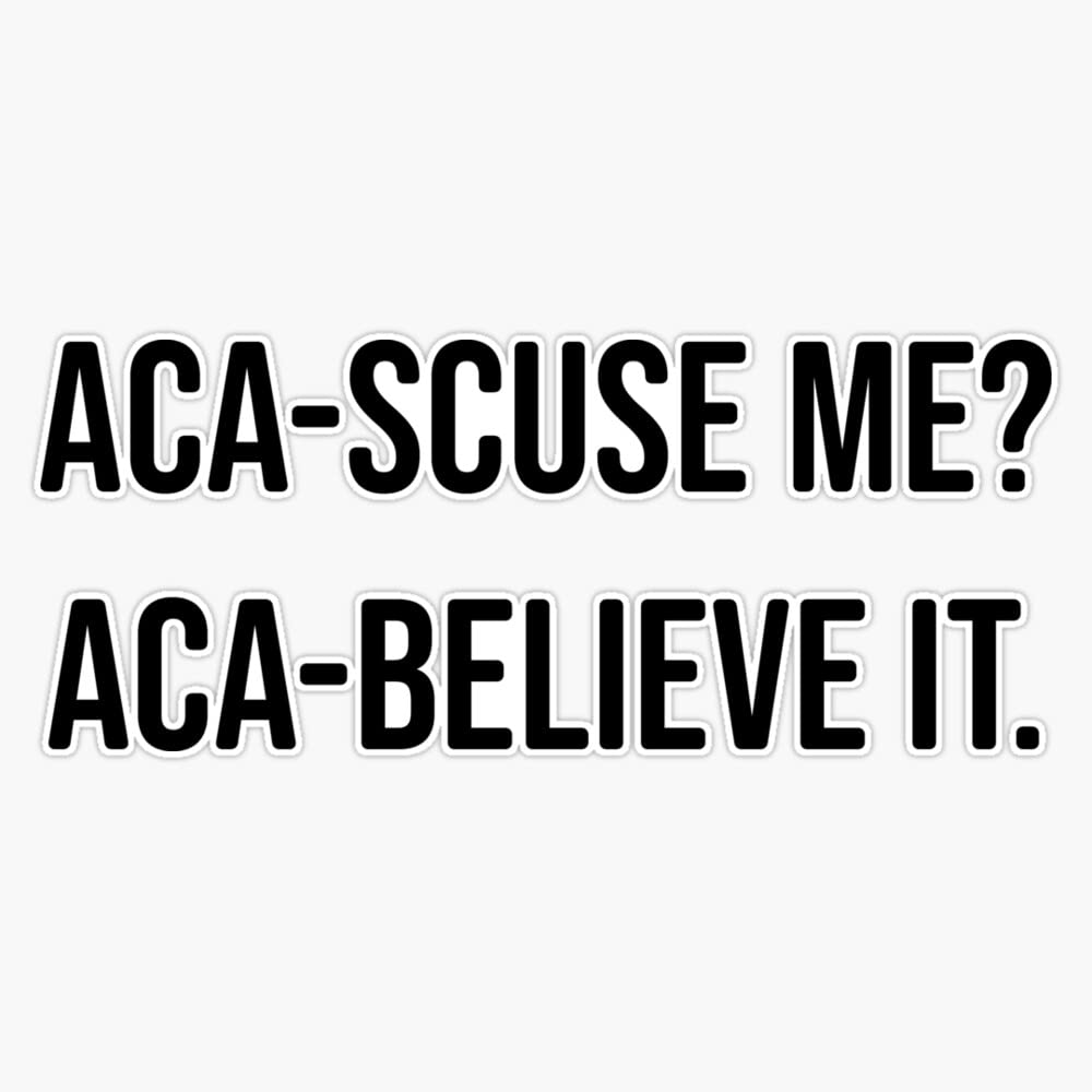 Pitch Perfect Quotes Fat Amy And Bumper