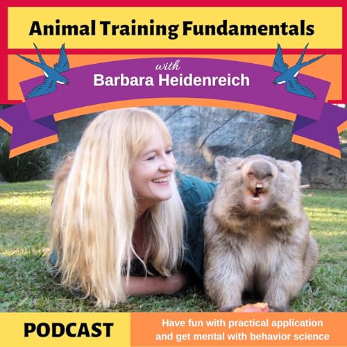 Amazon.com: Animal Training Fundamentals with Barbara Heidenreich ...