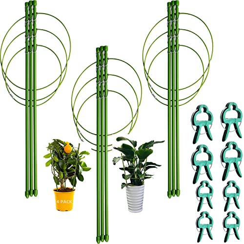 LAOJU Plants Support Cage Garden Plant Support Ring 3 Pack Adjustable ...