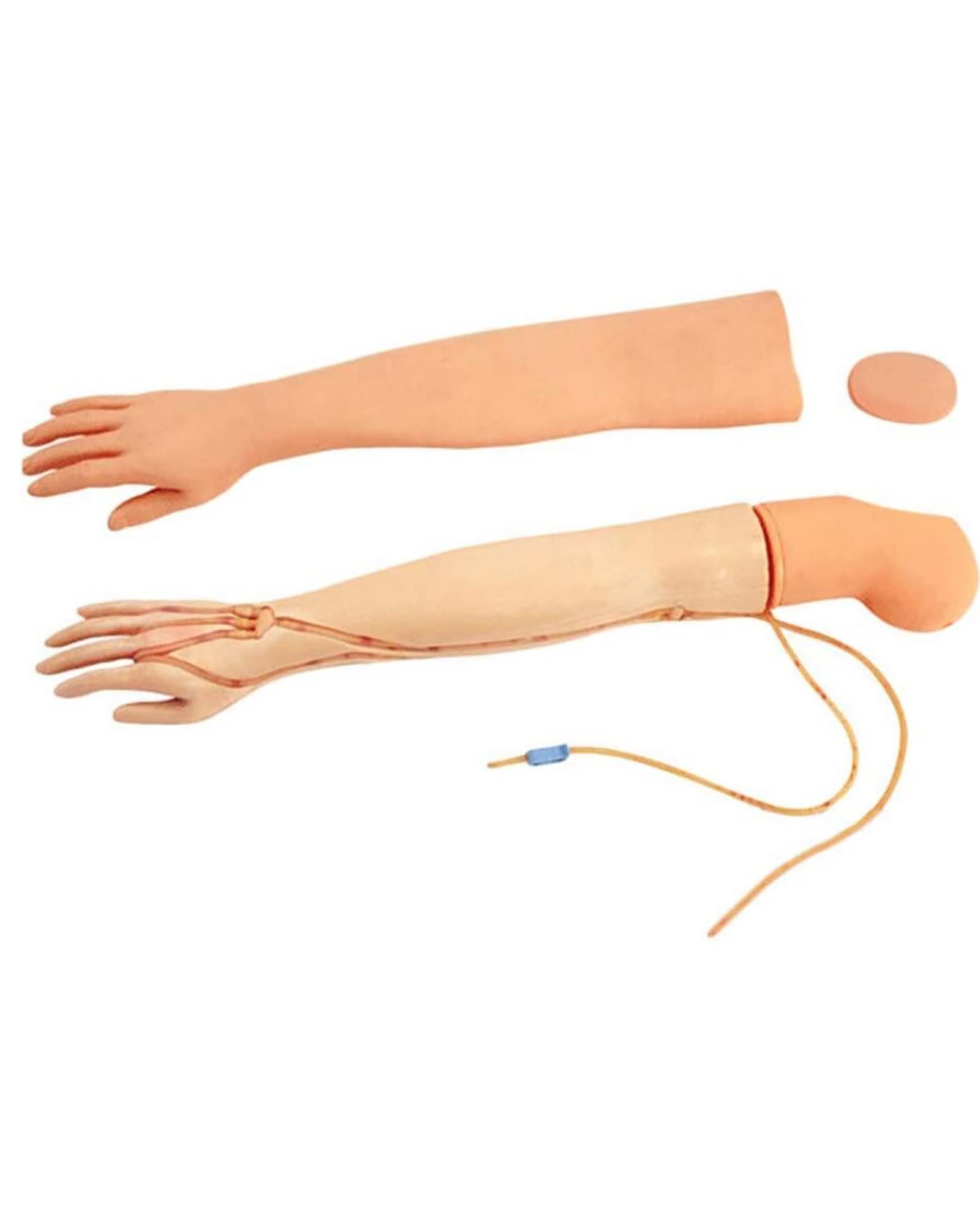 Buy YNB Life Size Arm IV Practice Model with Circulation Device ...