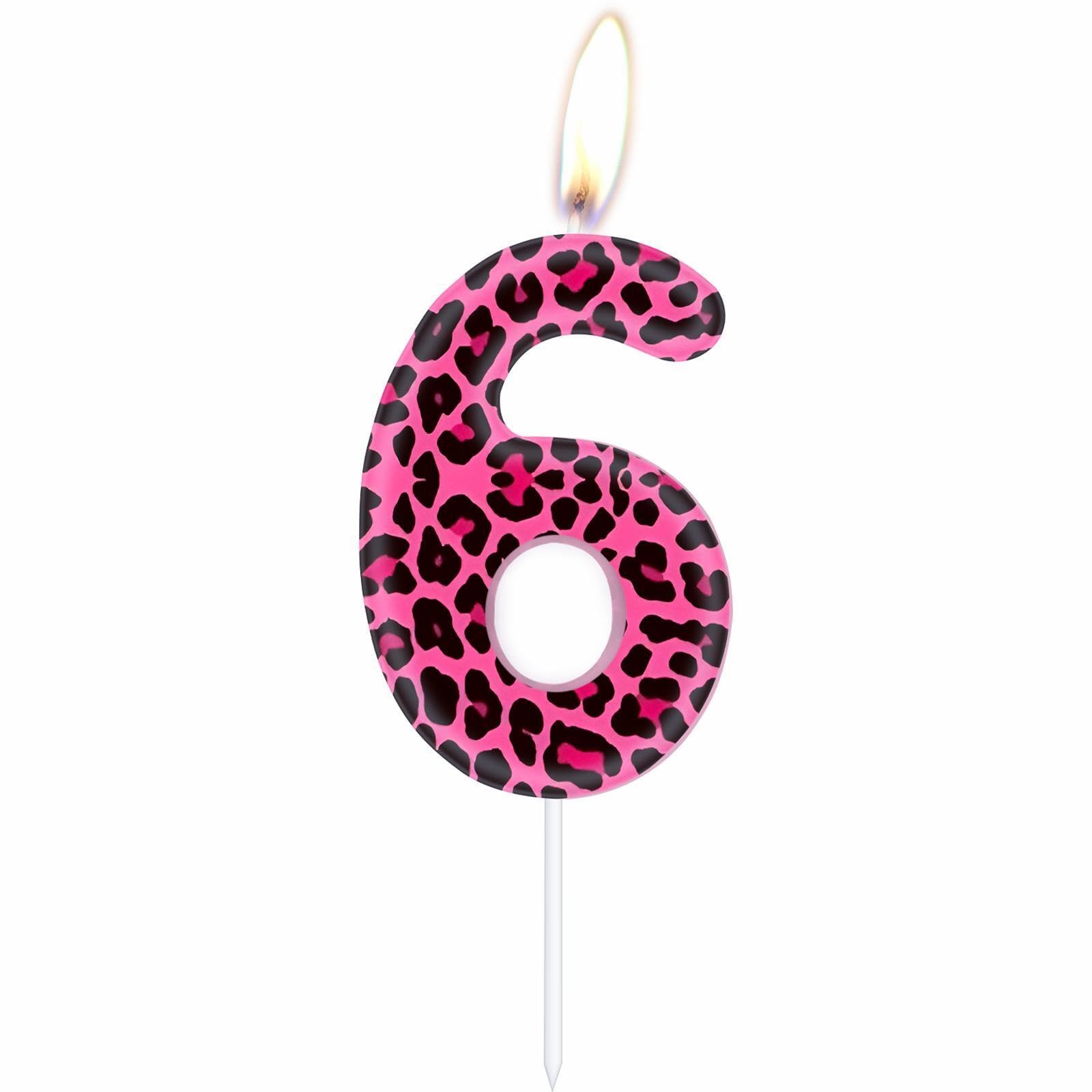Amazon.com: Pink Leopard Print Number 6,Pink Cheetah Birthday Cake ...