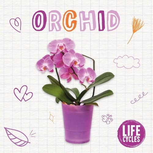 Orchid (Life Cycles) : McHale, Brenda, Webster-Jones, Danielle: Amazon ...