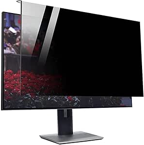 Amazon.com: LIGUOYI Computer Privacy Screen Filter for Widescreen ...