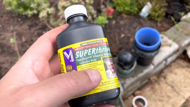 Watch Customer Review of SuperThrive Vitamin Solution for Plants on Amazon Live