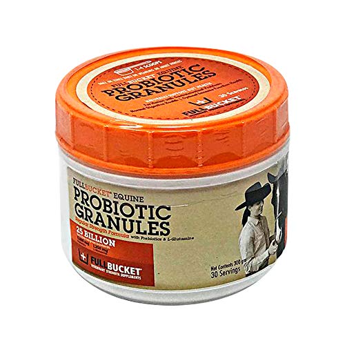 10 Best Equine Probiotics for Optimal Gut Health: A Comprehensive ...