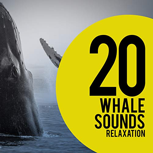 Play 20 Whale Sounds Relaxation by Whale Sounds on Amazon Music