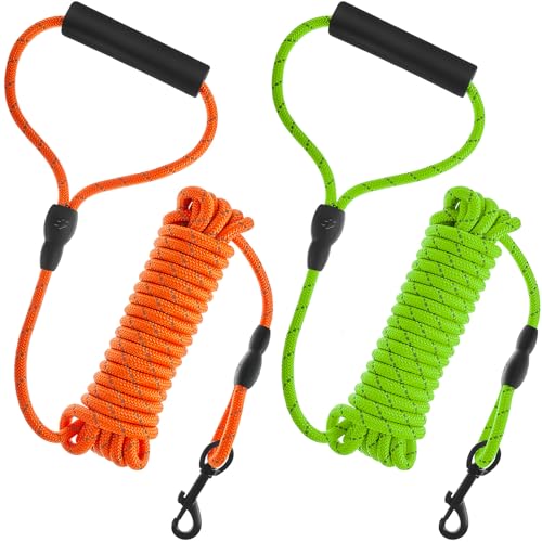 10 Best Dog Leash For The Beach