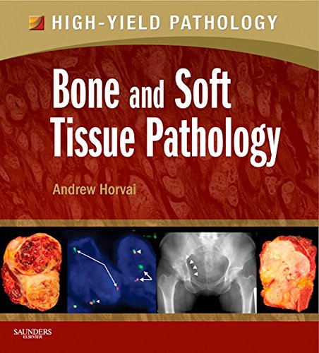 Amazon.com: Bone and Soft Tissue Pathology: A Volume in the High Yield ...
