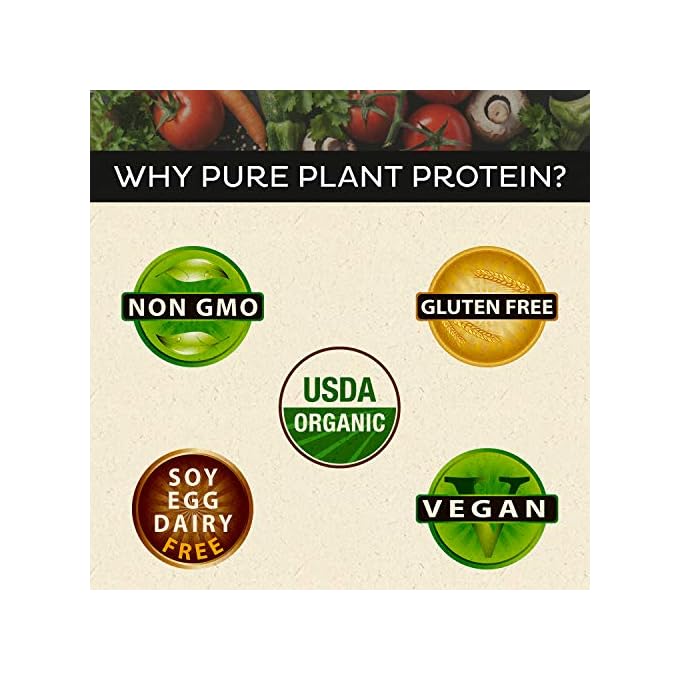 Nutragen - Pure Plant Protein, Organic Protein Powder (Vanilla, 1.97 ...