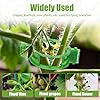 Amazon.com : 300 PCS Secured Plastic Plant Clip 2025 New Plant Support ...