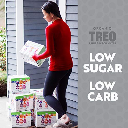 Treo Fruit & Birch Water Drink, Strawberry, USDA Organic, Non-GMO ...