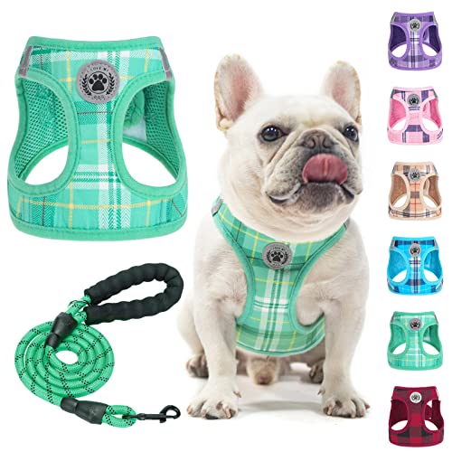 The Ultimate Guide to Finding the Perfect Turquoise Dog Harness: Top 10 ...