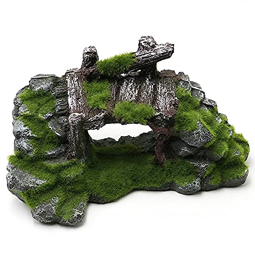 Best Unique & Creative Aquarium Decorations For Your Tank