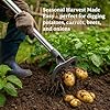 Amazon.com : Potato Hand Rake Garden Tool - 62" Long Handle Cultivator ...