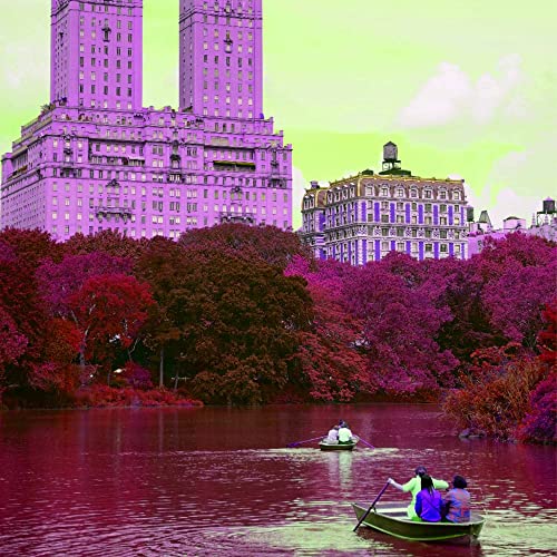 Amazon.com: Sunny Acoustic and Electric Bossanova Piano Duo ...