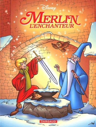 Amazon.com: Merlin l'enchanteur: 9782908803594: unknown author: Books