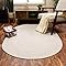 Amazon.com: Super Area Rugs Farmhouse Braided Rug Cotton Kitchen ...