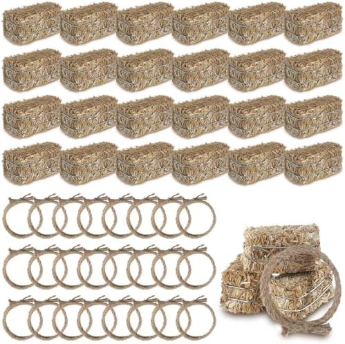 Amazon.com: Conelist 24 Pcs Western Themed Party Decorations 12 Mini ...